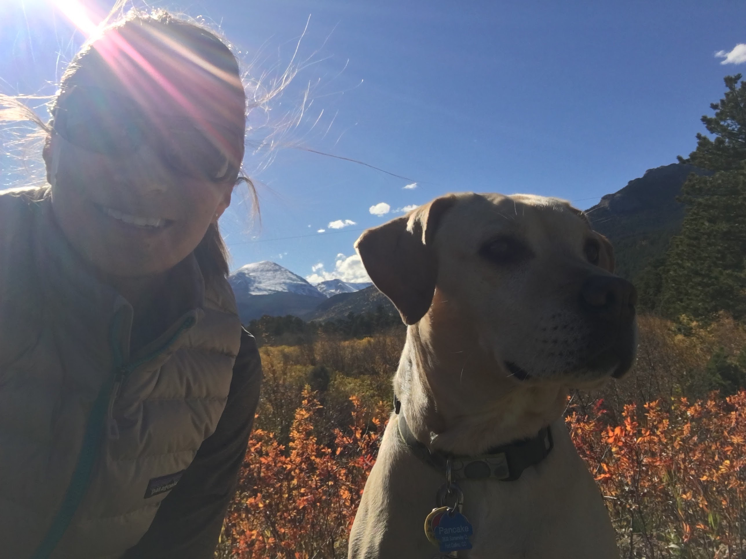 Symptoms of Chronic Bartonella Experienced in Humans