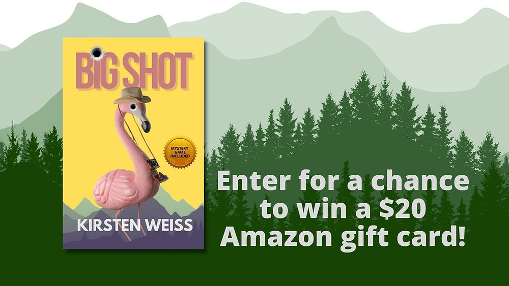 Giveaway 20 Amazon Gift Card Giveaway 20 Amazon Gift Card