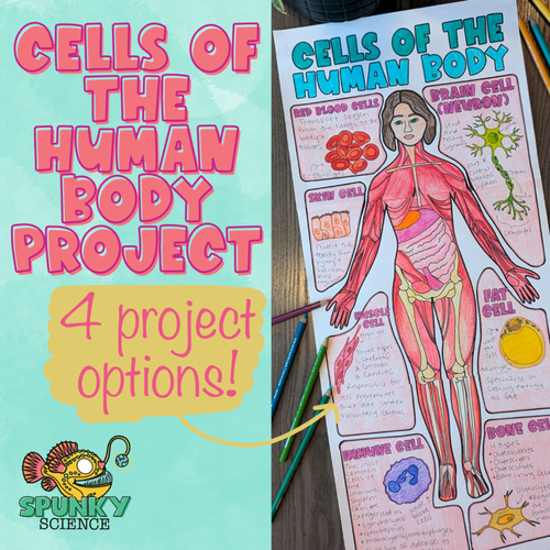 Cells of the Human Body Poster Project | Spunkyscience