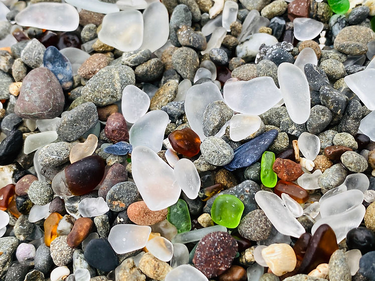 Healing Through Natural Connections | A Human Sanctuary