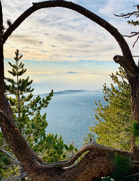 Healing Through Natural Connections | A Human Sanctuary