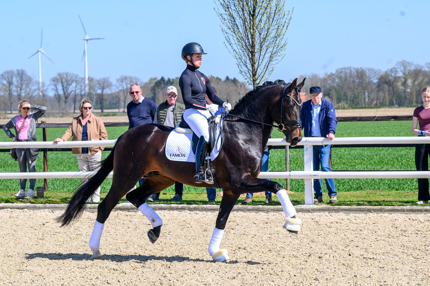 So Nice | Gestüt Famos