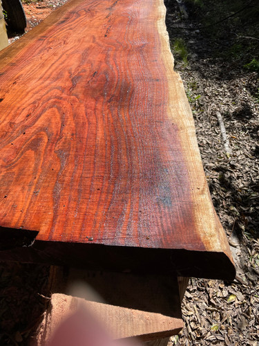 Local Giant Sequoia wood- marvelous pieces would make a great table ...