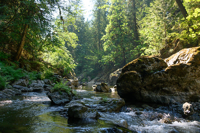 Meet the Watershed | Koksilah Water