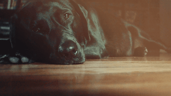 Pixels To Print: Cinemagraphs