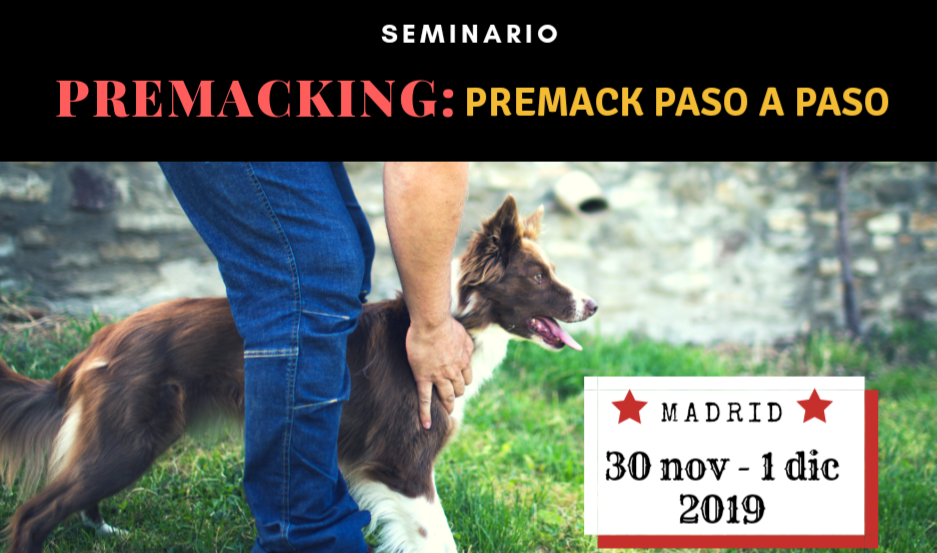 Narub Escuela Residencia canina | Madrid Navalcarnero