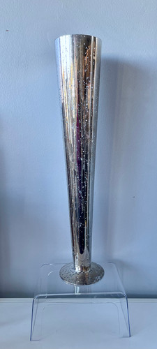 Silver Mercury Pilsner Vase | Stylish Blooms
