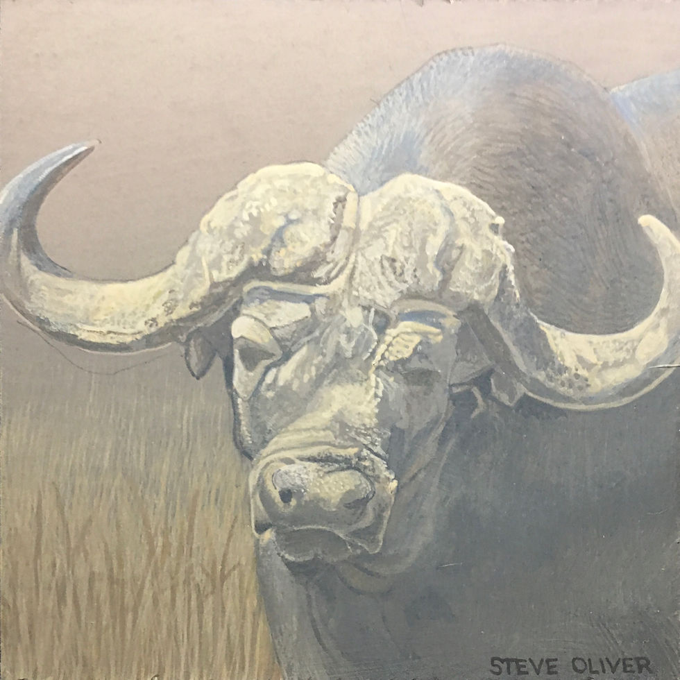 SHOP BONUS MINIS | Steve Oliver 2024