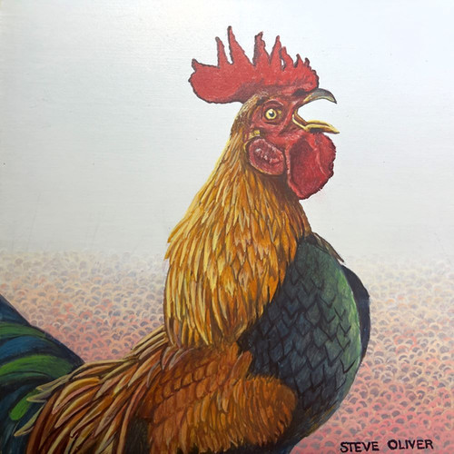 Crowing Rooster | Steve Oliver 2024