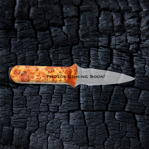 Copper-mascus Oyster Dagger in Cypress | Iron Grove Tool Co