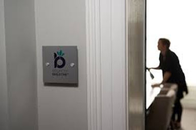 Specialist Services | Insite Group