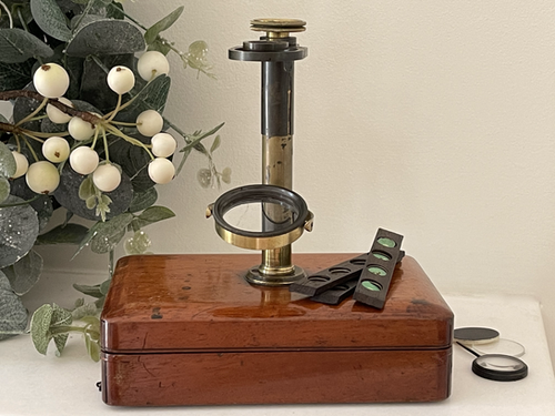 Antique English Botanical Microscope | treenantiquesdevon