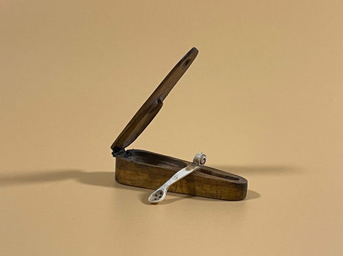 A Rare Violin Case Snuff Box & Spoon | treenantiquesdevon