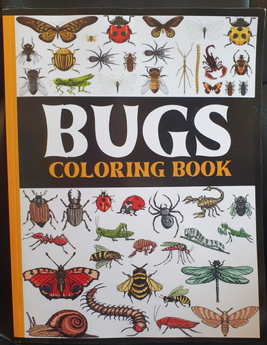 Insect colouring book | antsonarock