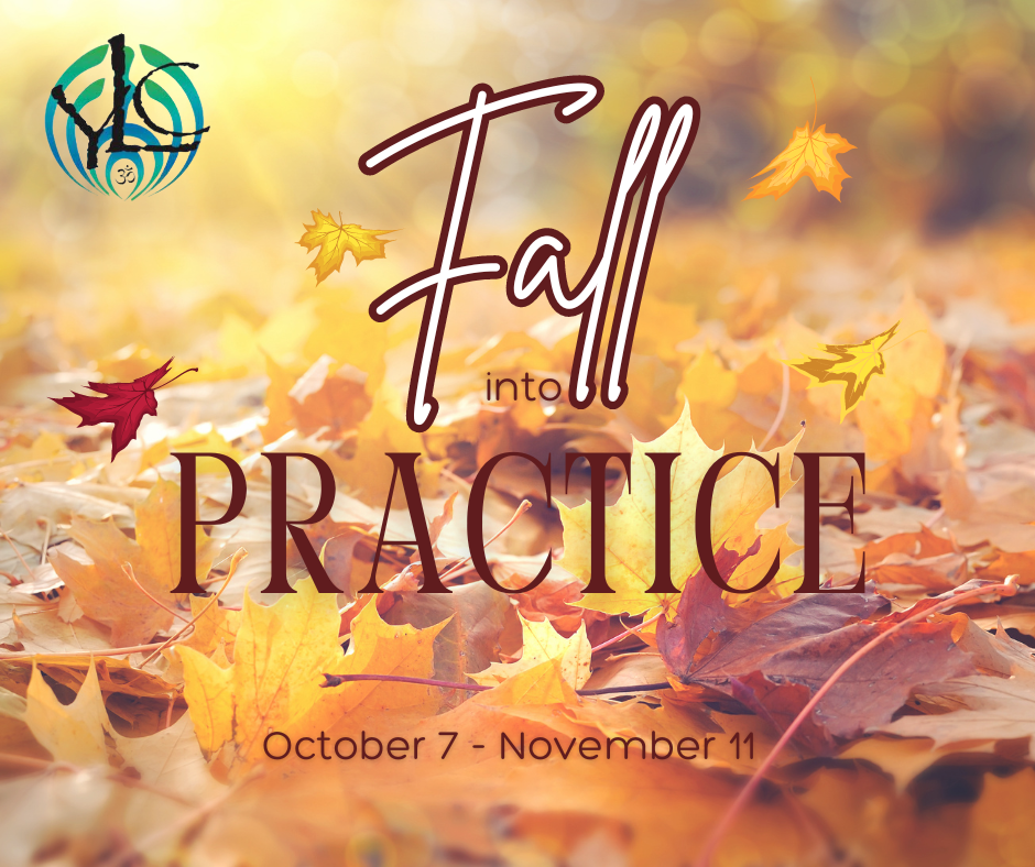 Fall into Practice Challenge | Yoga Life Center
