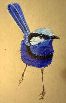 Melinda Stephens | Blackwood River Arts