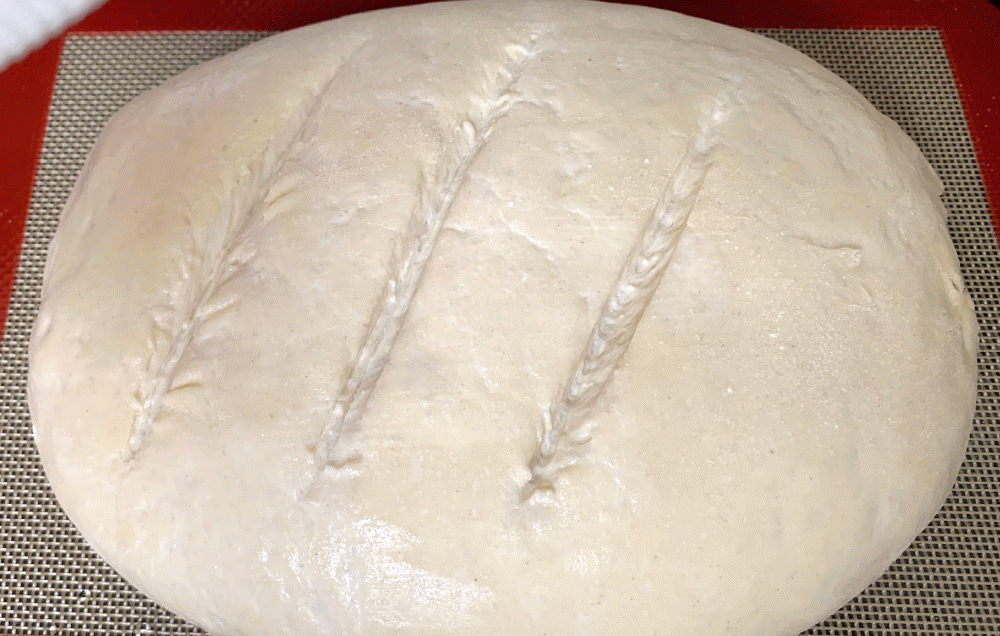 White Bread