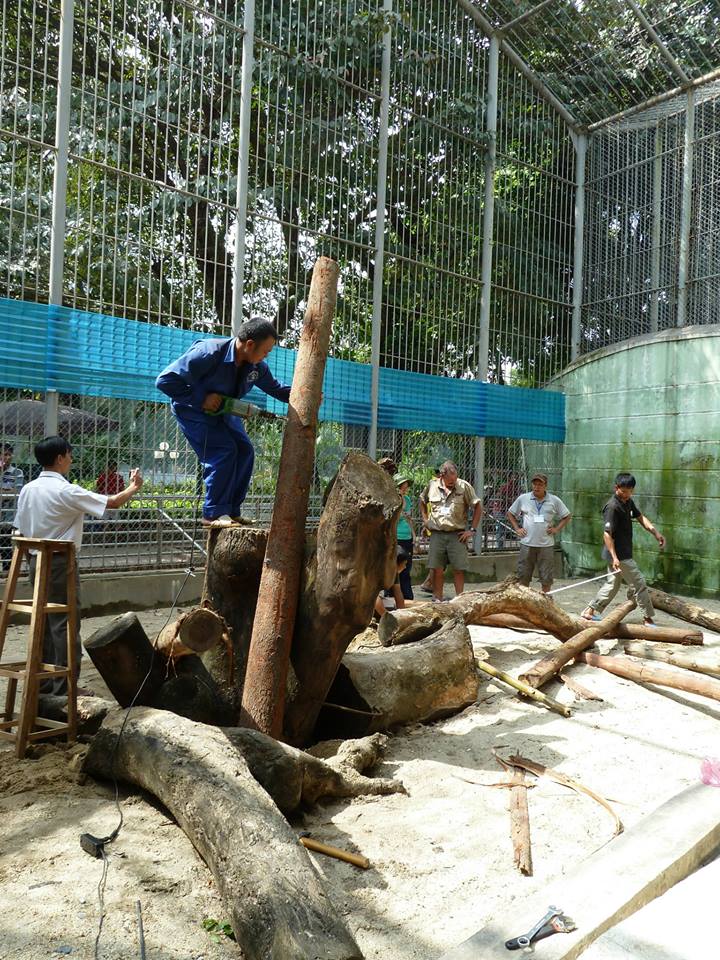 Shape of Enrichment Workshop