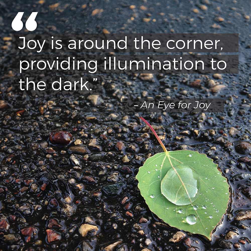 Finding Happiness in the Everyday with An Eye for Joy