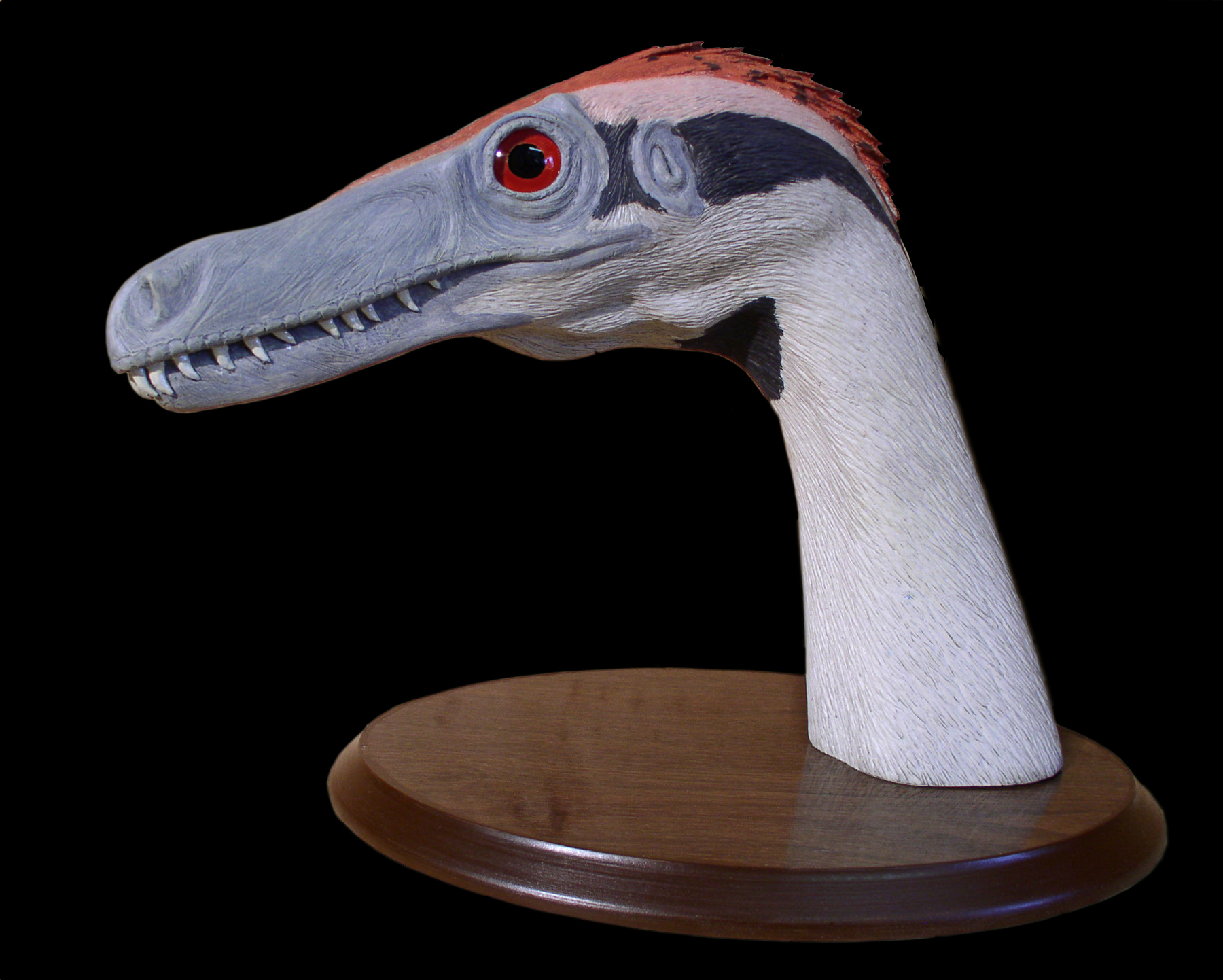 Pangaea Designs, Dinosaurs