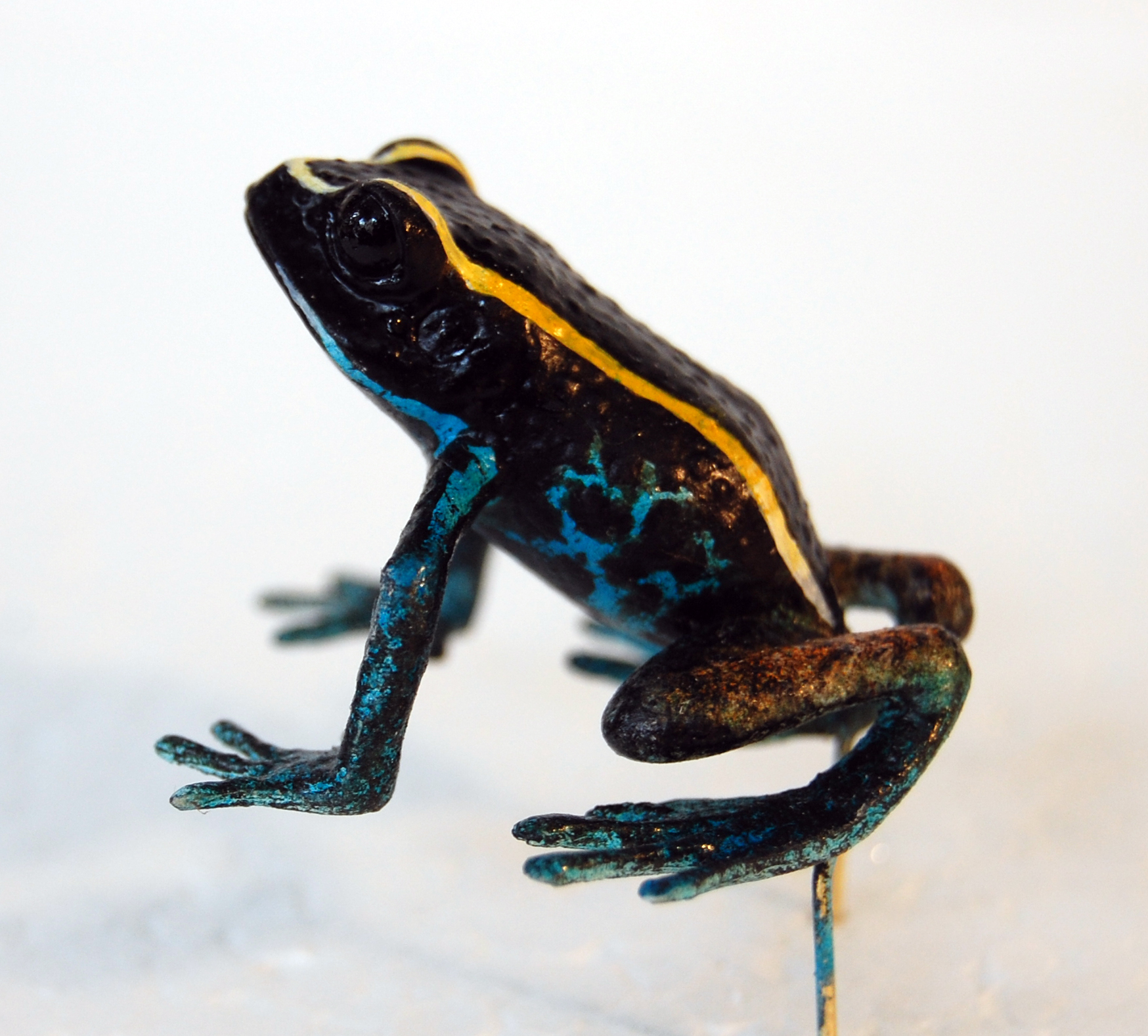 Pangaea Designs, Reptiles and Amphibians