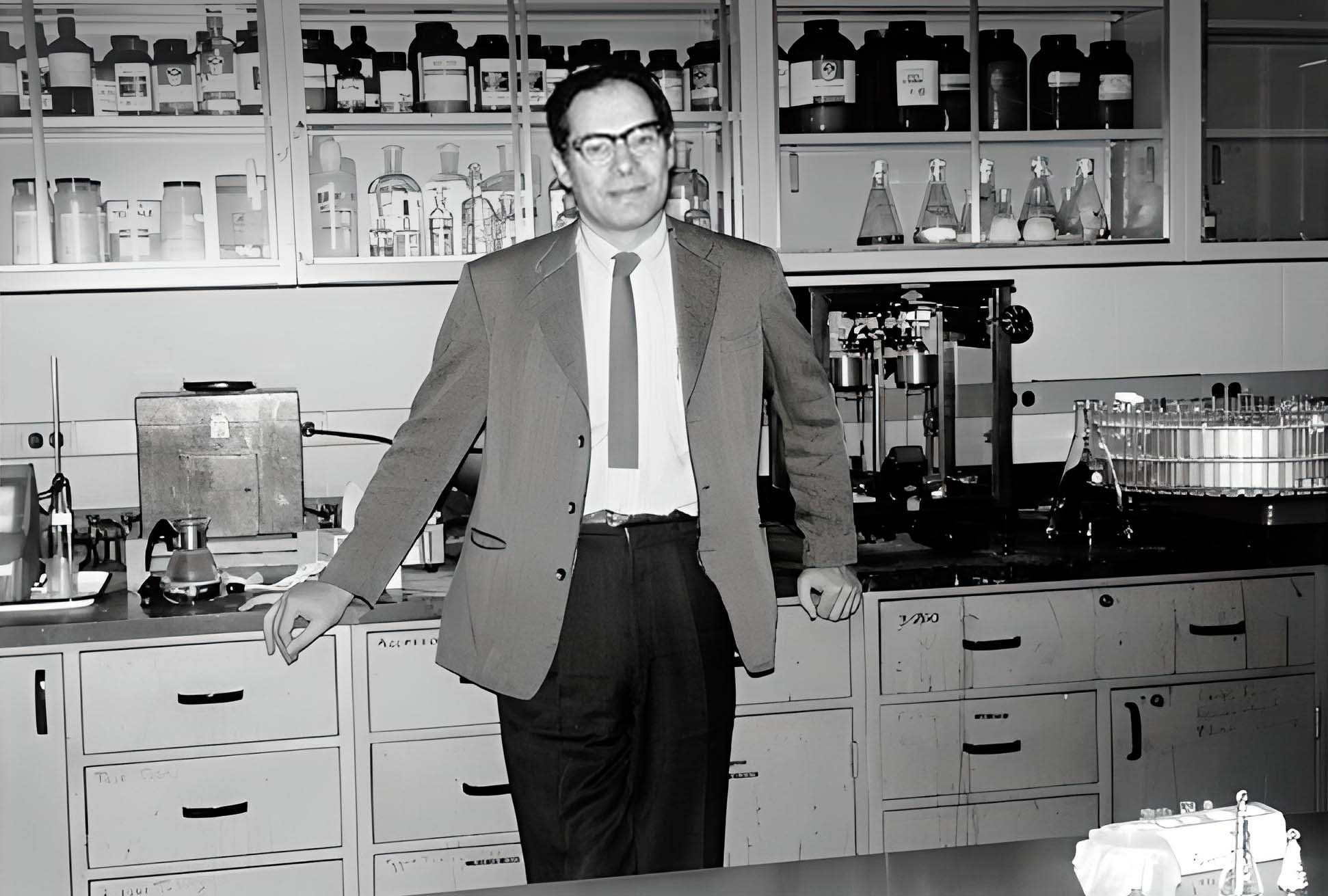 International Weber Symposium