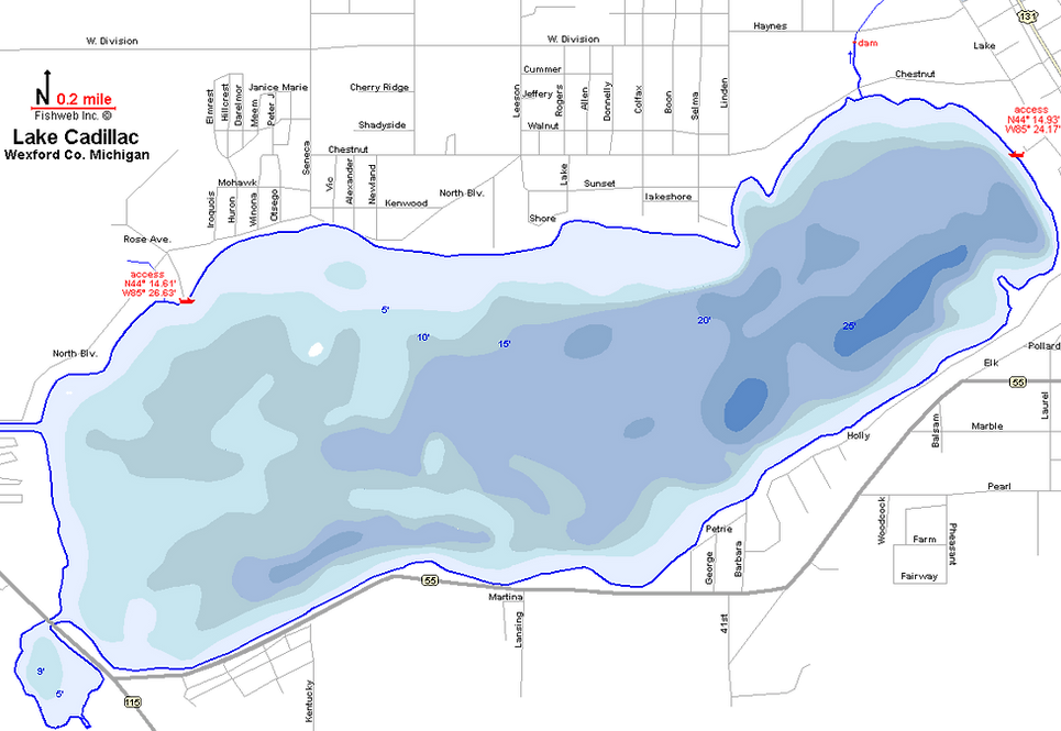 Fishing in Lake Cadillac: Species of Fish and Best Tips & Techniques