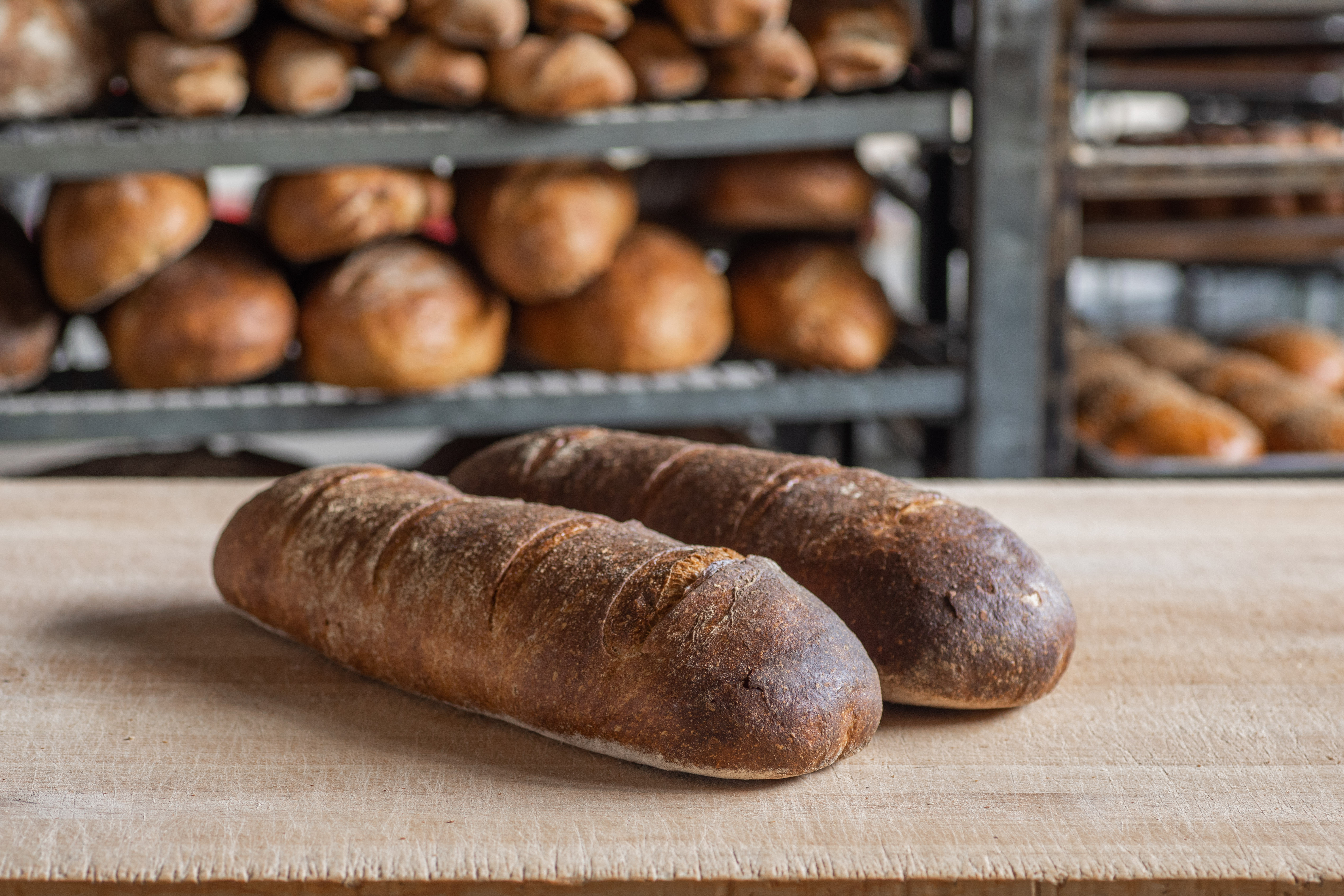 495300 | Tom Cat Bakery, Inc.