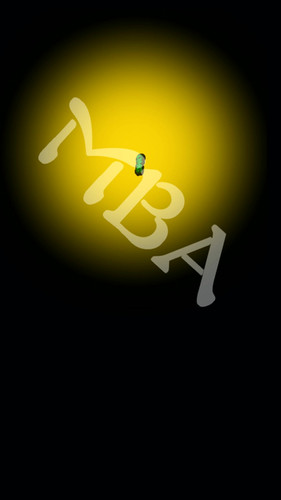 Sweet 16 Animation Set | PhotoBoothAnimations