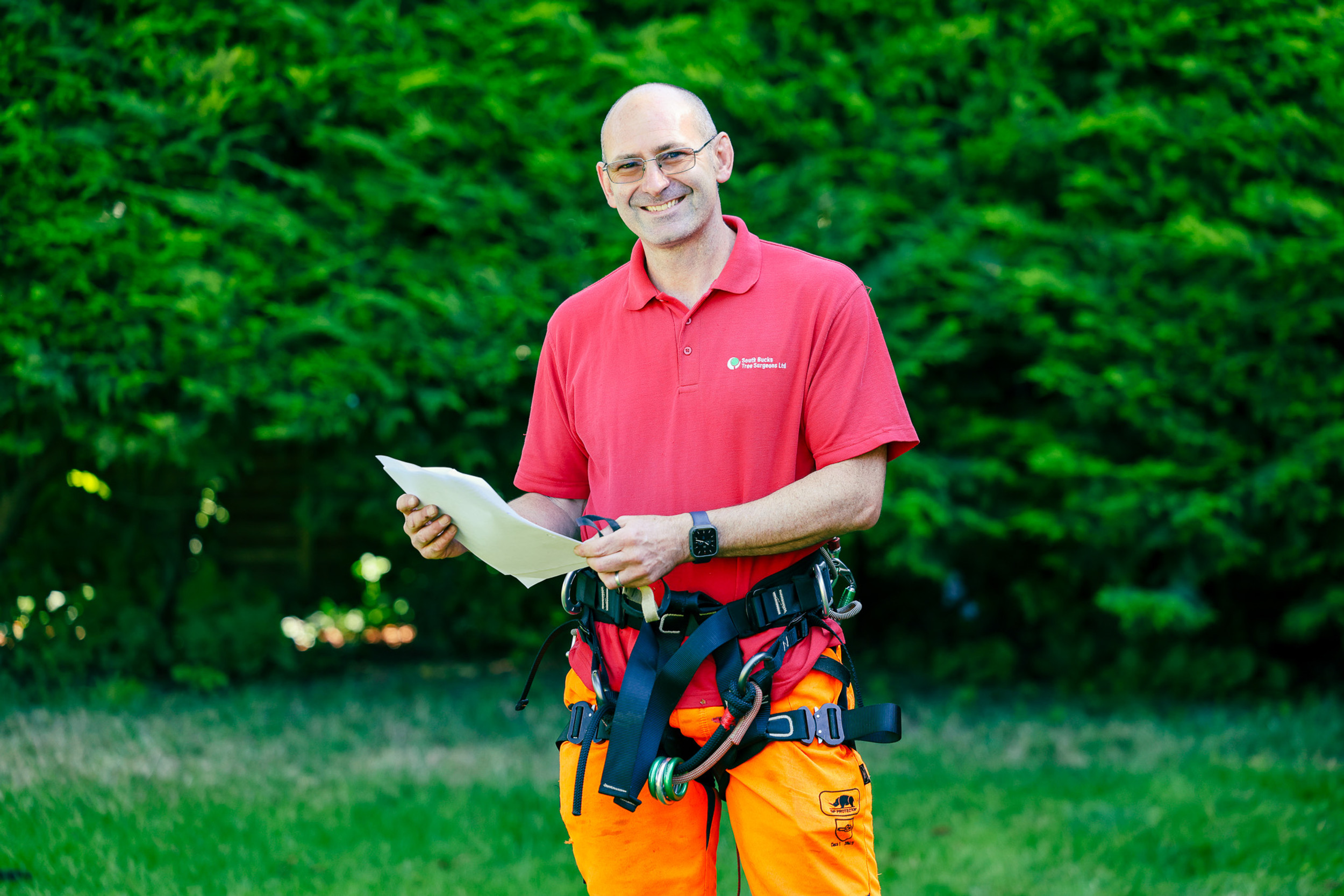 Expert tree care best practice | South Bucks Tree Surgeons