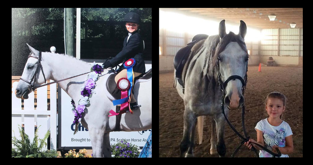 How Lisa Lost Her Horse