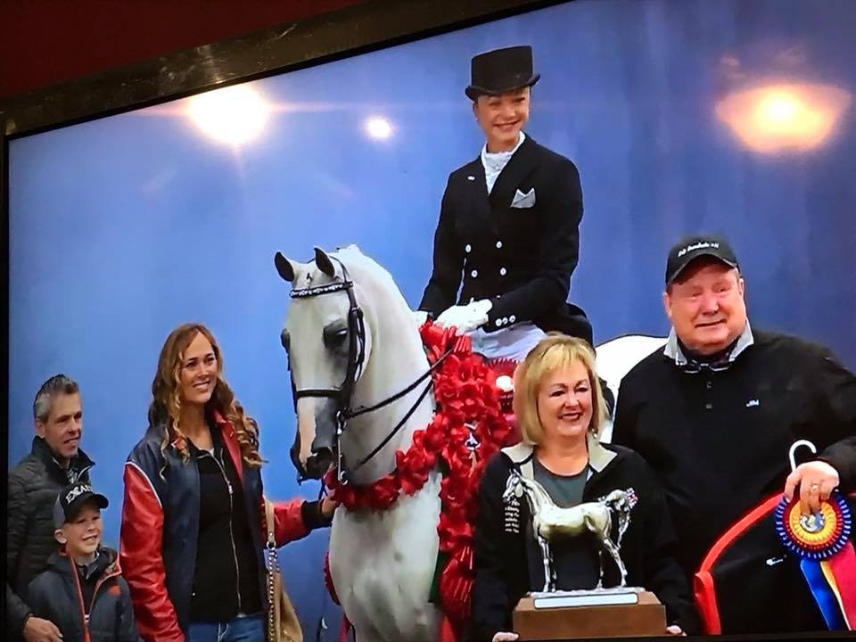 2017 Arabian Nationals-Show Hack