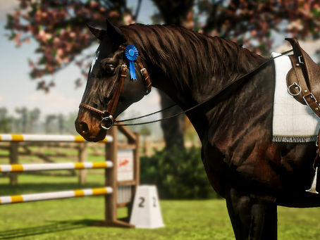 BLOG | The Rift Trails