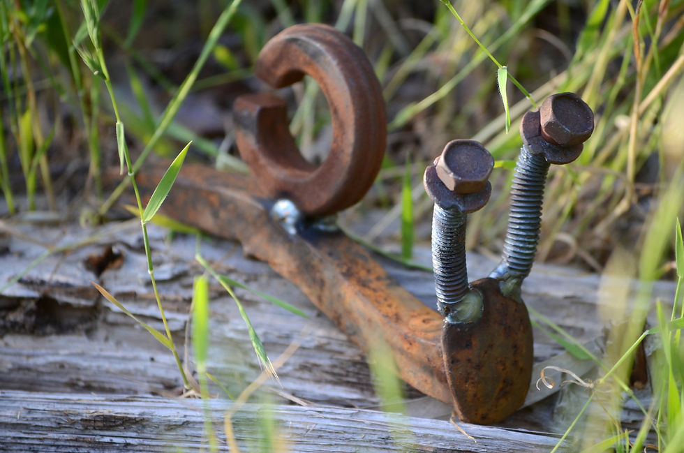 Railroad Spike Snail | Menard Metal Craft