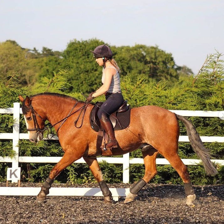 My favourite (simple) flatwork exercises