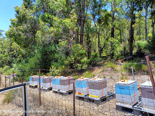 Bee Hive Transportation and Storage Solutions | Perth ECO Beekeeping