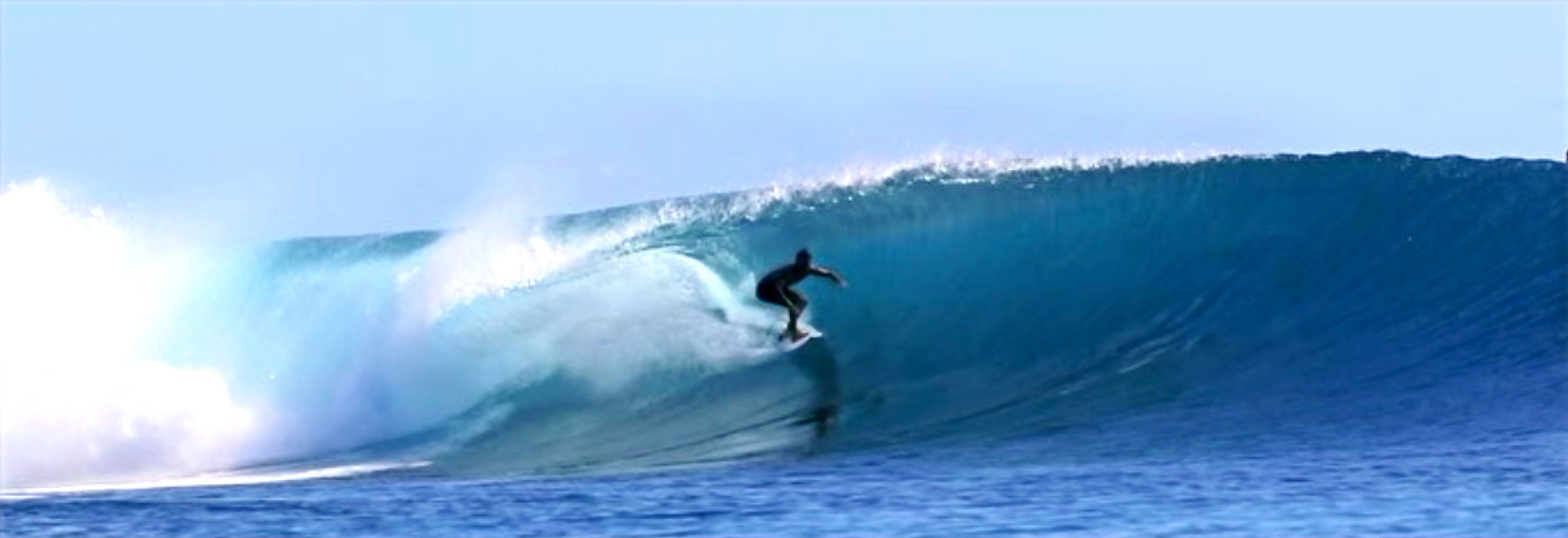 Home | Perfect Swell Surf School