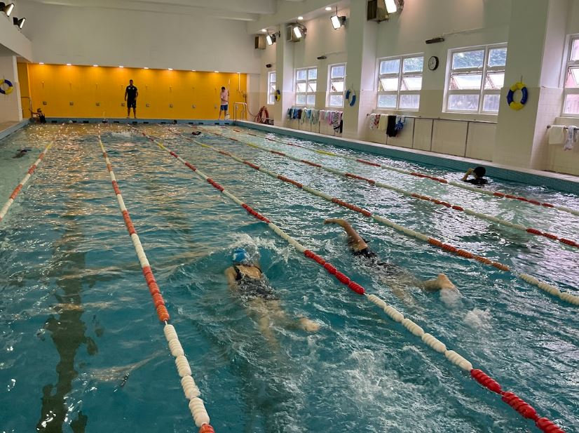 Swimming, Calligraphy and Endangered Animals!