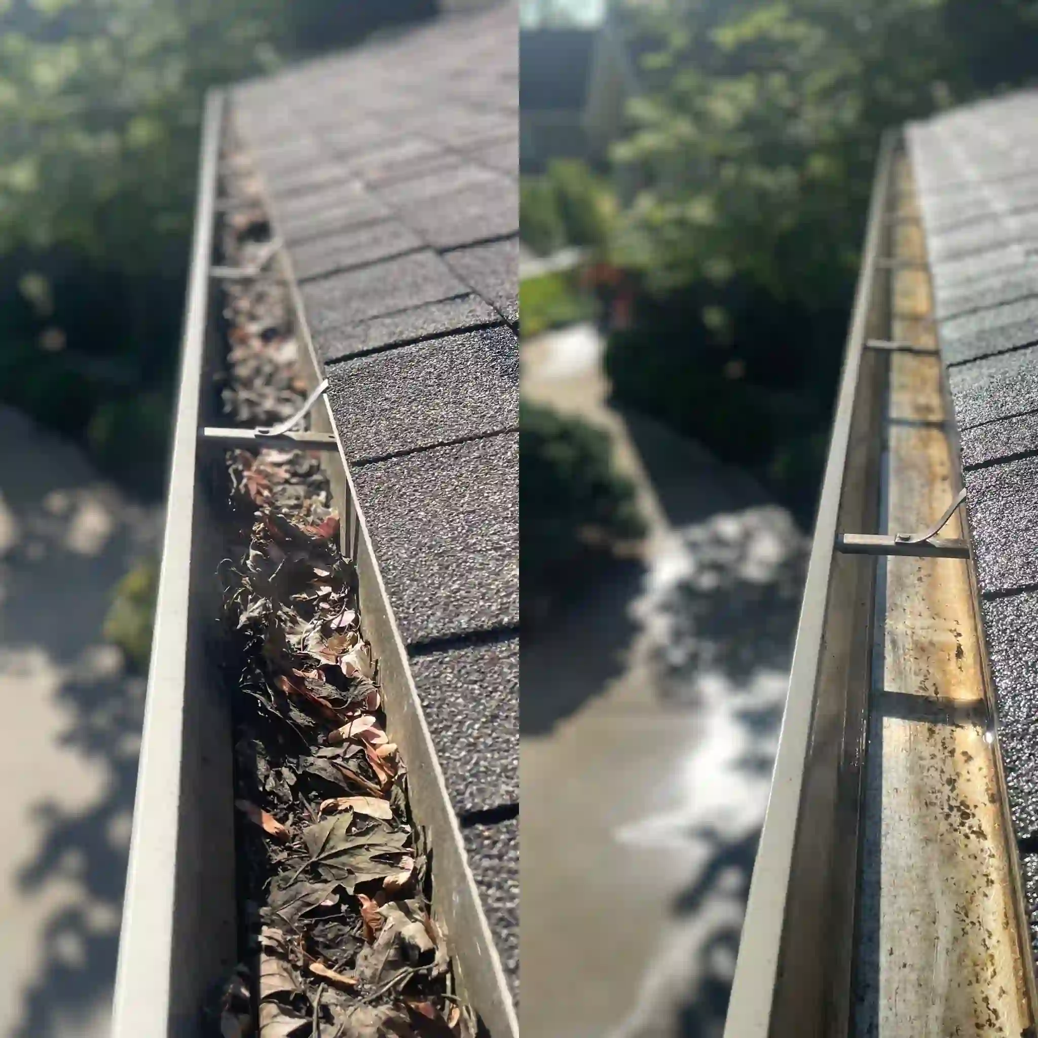Gutter Cleaning | Elevate Clean GR