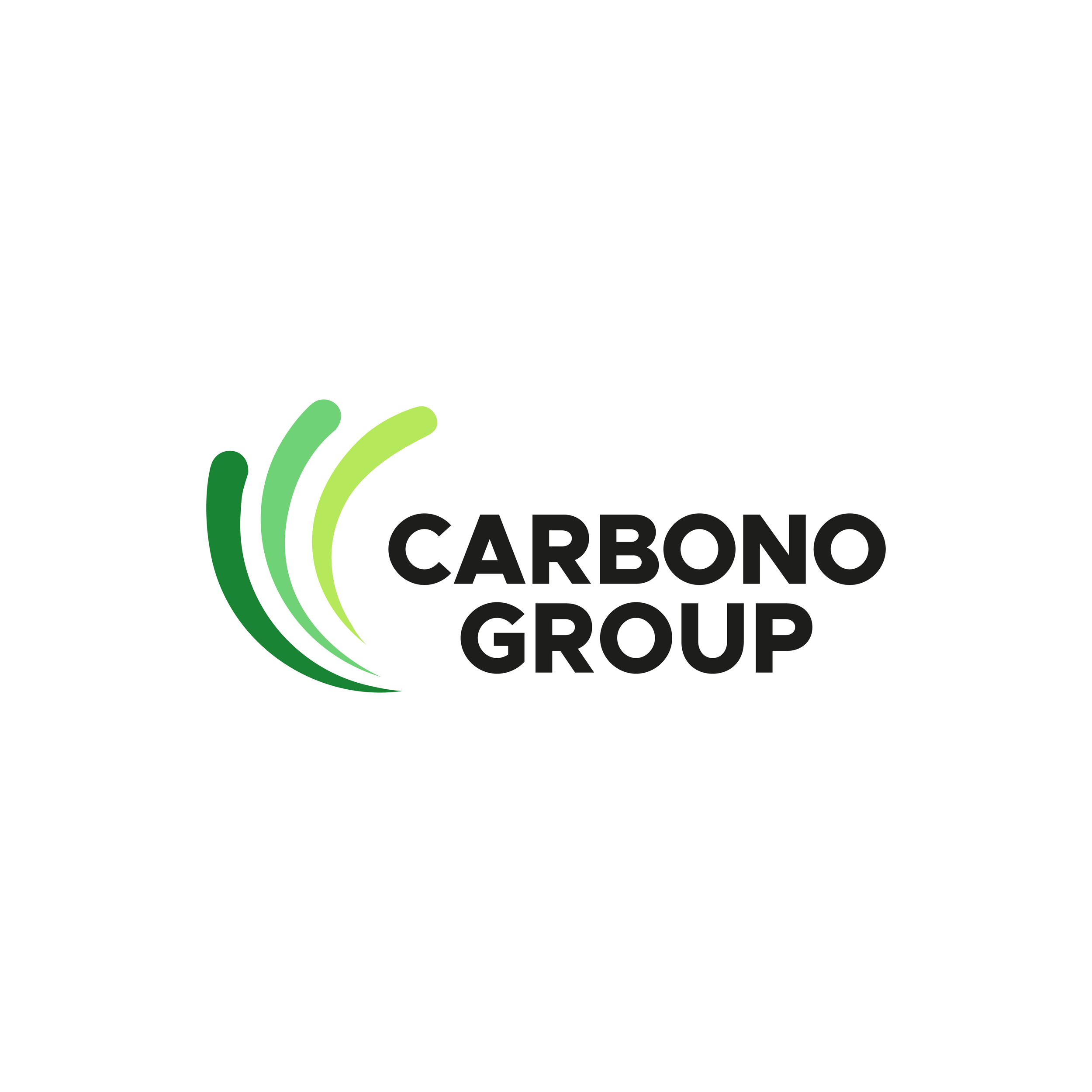 Carbono Group | consultora ambiental