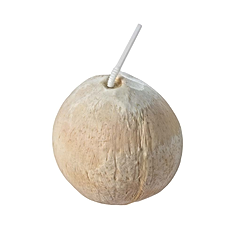 Products | Thai Coconut Export| Premium Diamond Type Coconuts | Nam Hom ...