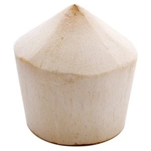 HOME | Thai Coconut Export | Offer the Best Price with Premium Coconuts ...