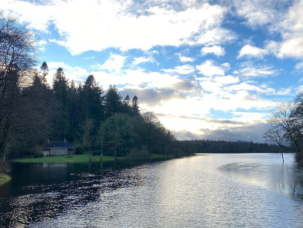 Cavan Community ENews 19.1.24