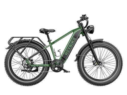 Brawn 48v 1200w Fat Tire E-Bike | E-GO