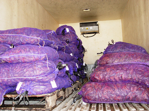 FULL SACK Live Crawfish | LakeCharlesCrawfish