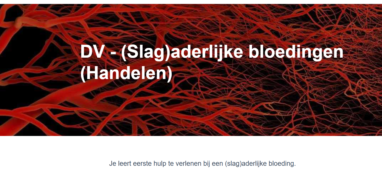 DV - (Slag)aderlijke bloedingen (Handelen)