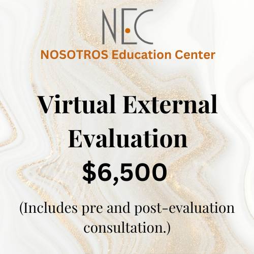 Virtual External Evaluation | NEC TRIO