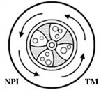 Needful Provision Inc | Dolores Chamber