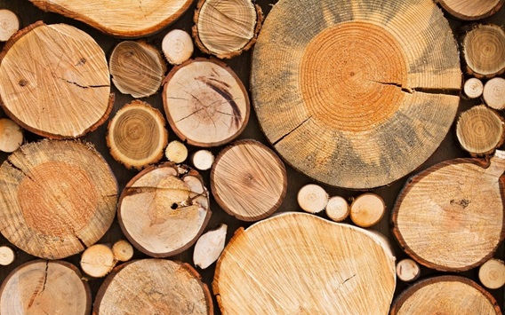 Madeira, um material nobre!