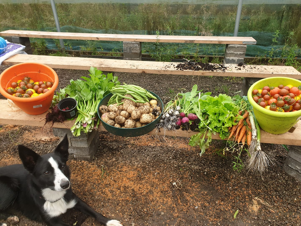 Pure passion for food equality